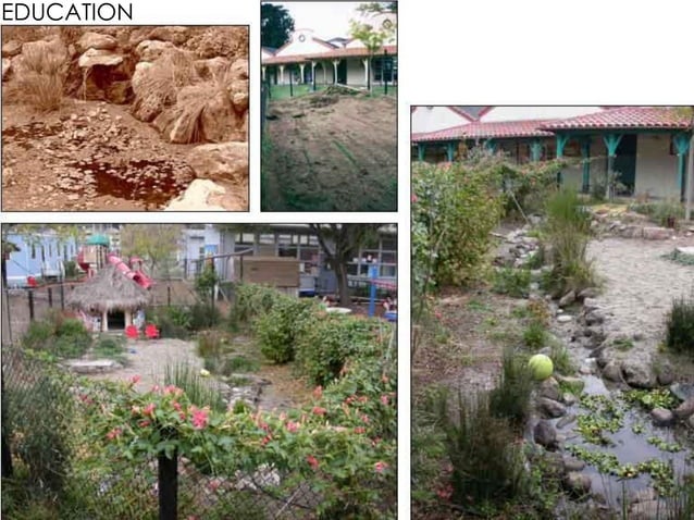 Ecological design principles | PPT