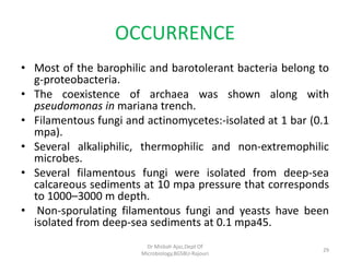 Ecological diversity of Microorganisms | PDF | Biological Sciences ...
