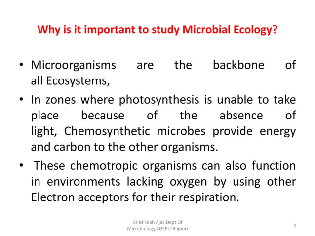 Ecological diversity of Microorganisms | PDF | Biological Sciences ...