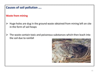 Ecological effects of soil pollution and it’s management.pptx