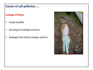 Ecological effects of soil pollution and it’s management.pptx