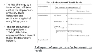 Ecological efficiency-1.pptx............ | PPTX