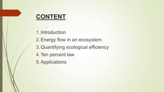 Ecological efficiency | PPTX