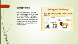 Ecological efficiency | PPTX | Agriculture | Industries