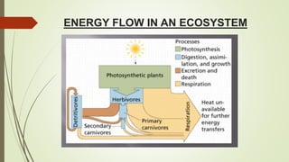 Ecological efficiency | PPTX | Agriculture | Industries