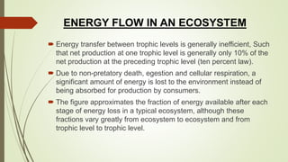 Ecological efficiency | PPTX