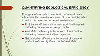 Ecological efficiency | PPTX | Agriculture | Industries
