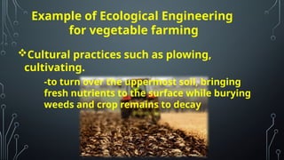Ecological engineering-Guide to Integrated Pest Management.pptx