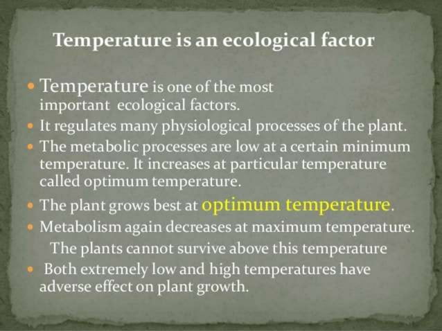 Ecological factors.pptx | Science