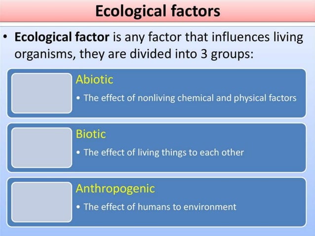 Ecological factors.pptx | Science