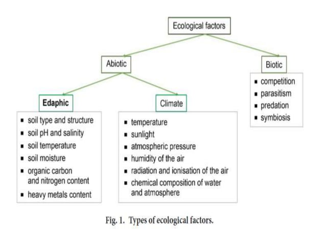 Ecological factors.pptx | Science