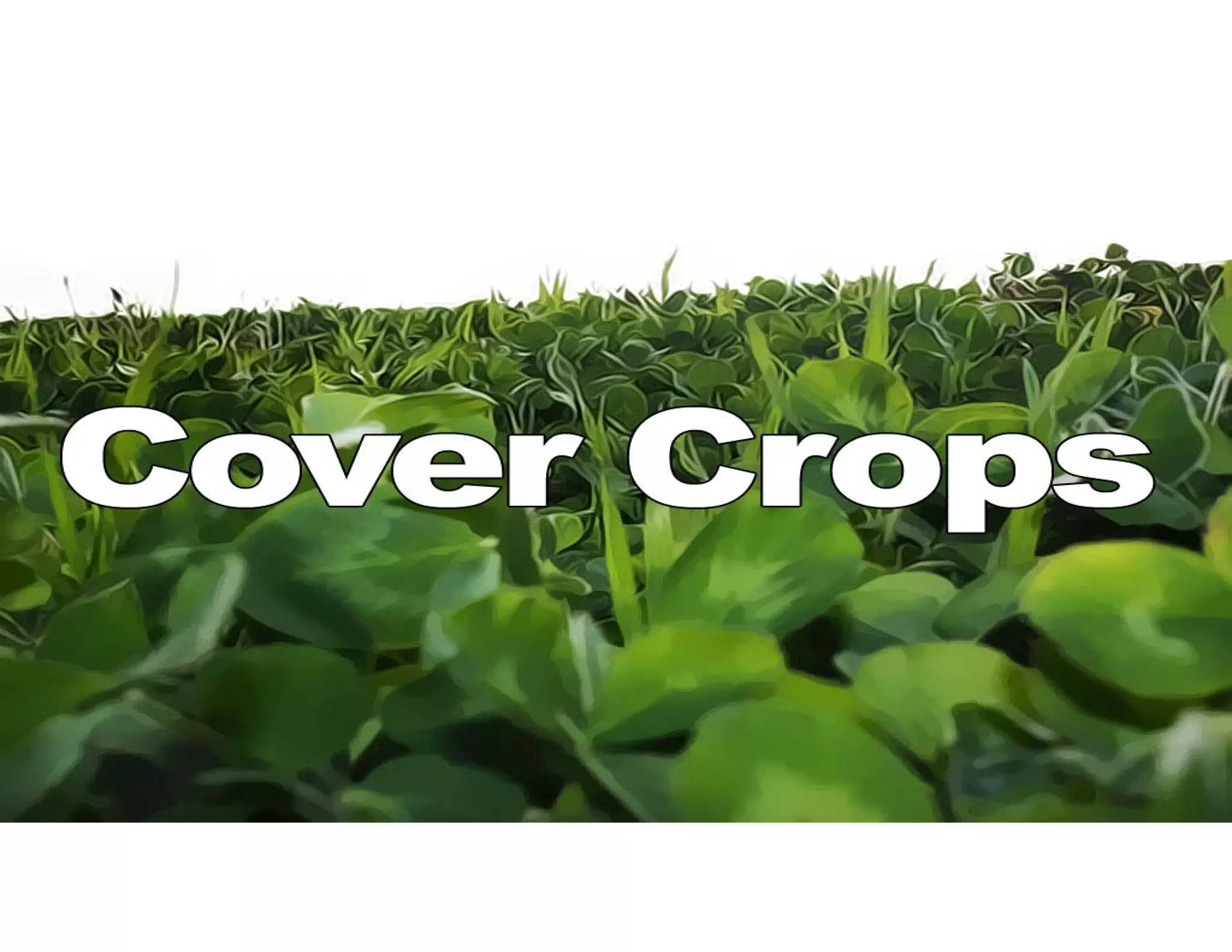 Ecological farming system | PDF