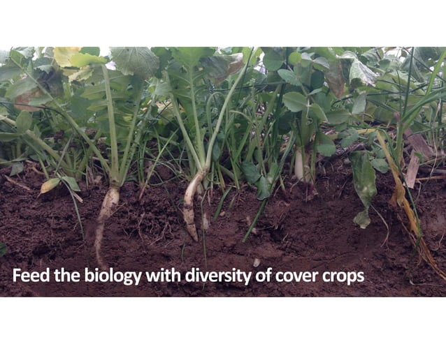 Ecological farming system | PDF