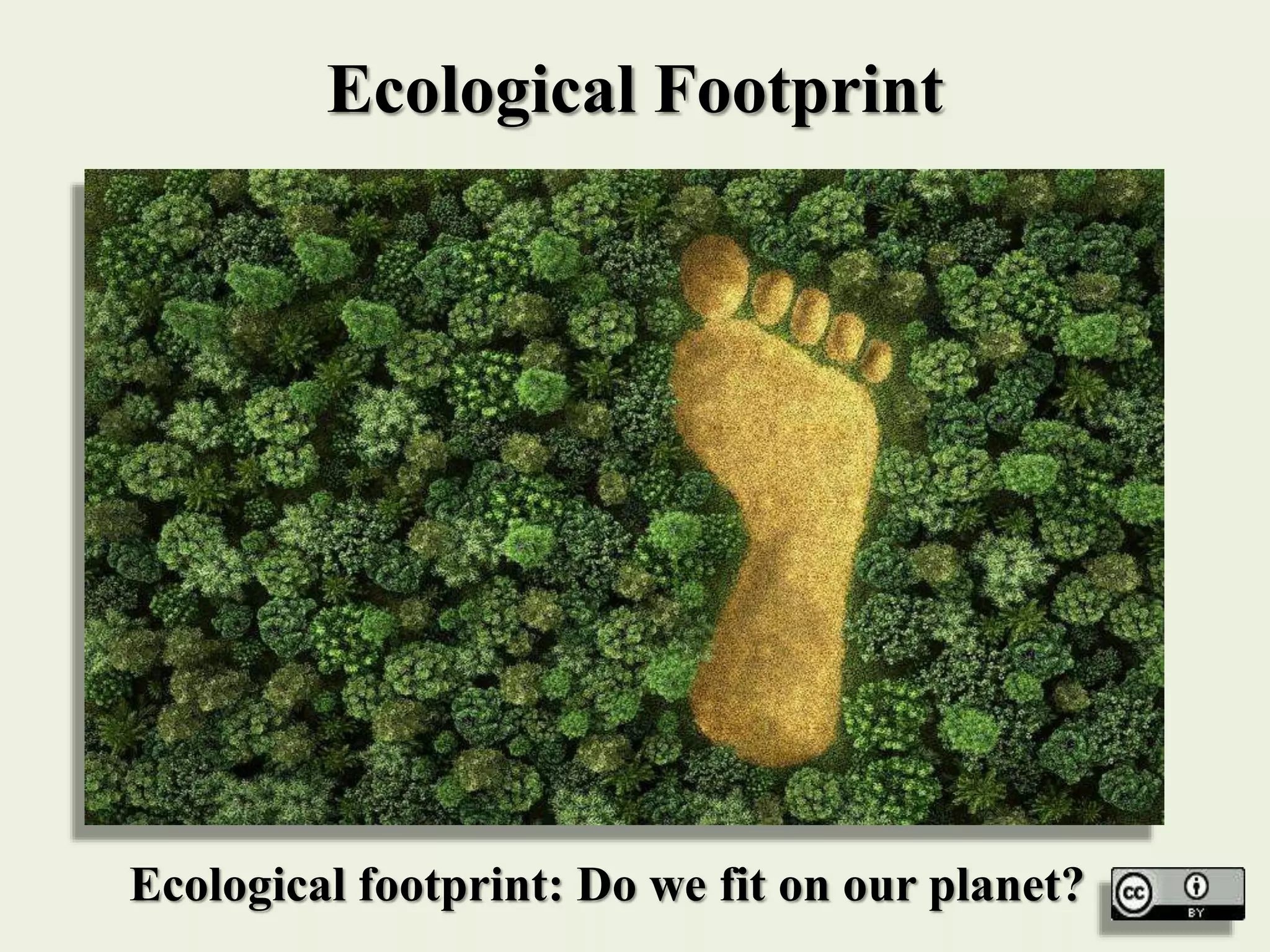 Ecological Footprint (1).pptx