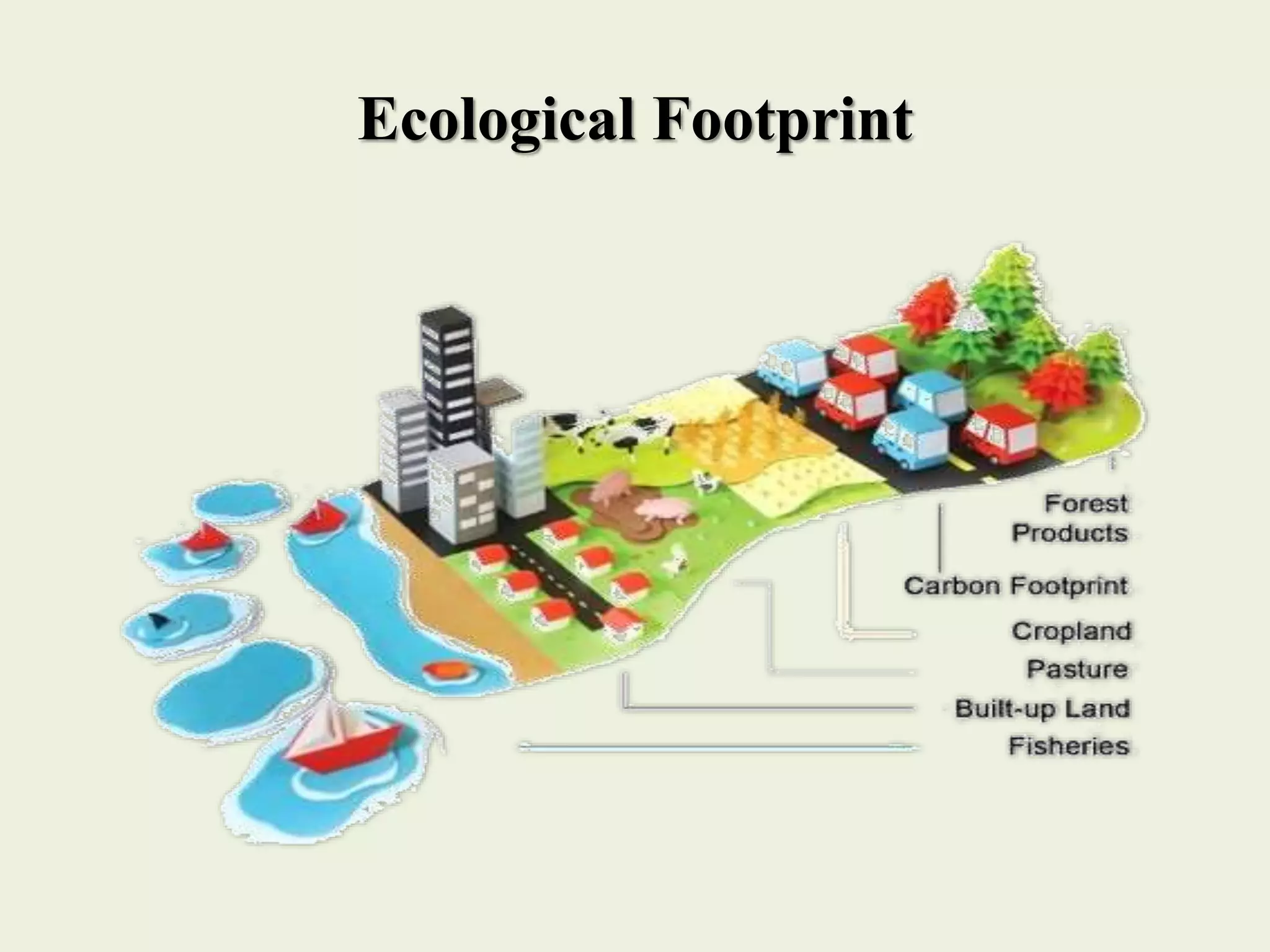Ecological Footprint (1).pptx