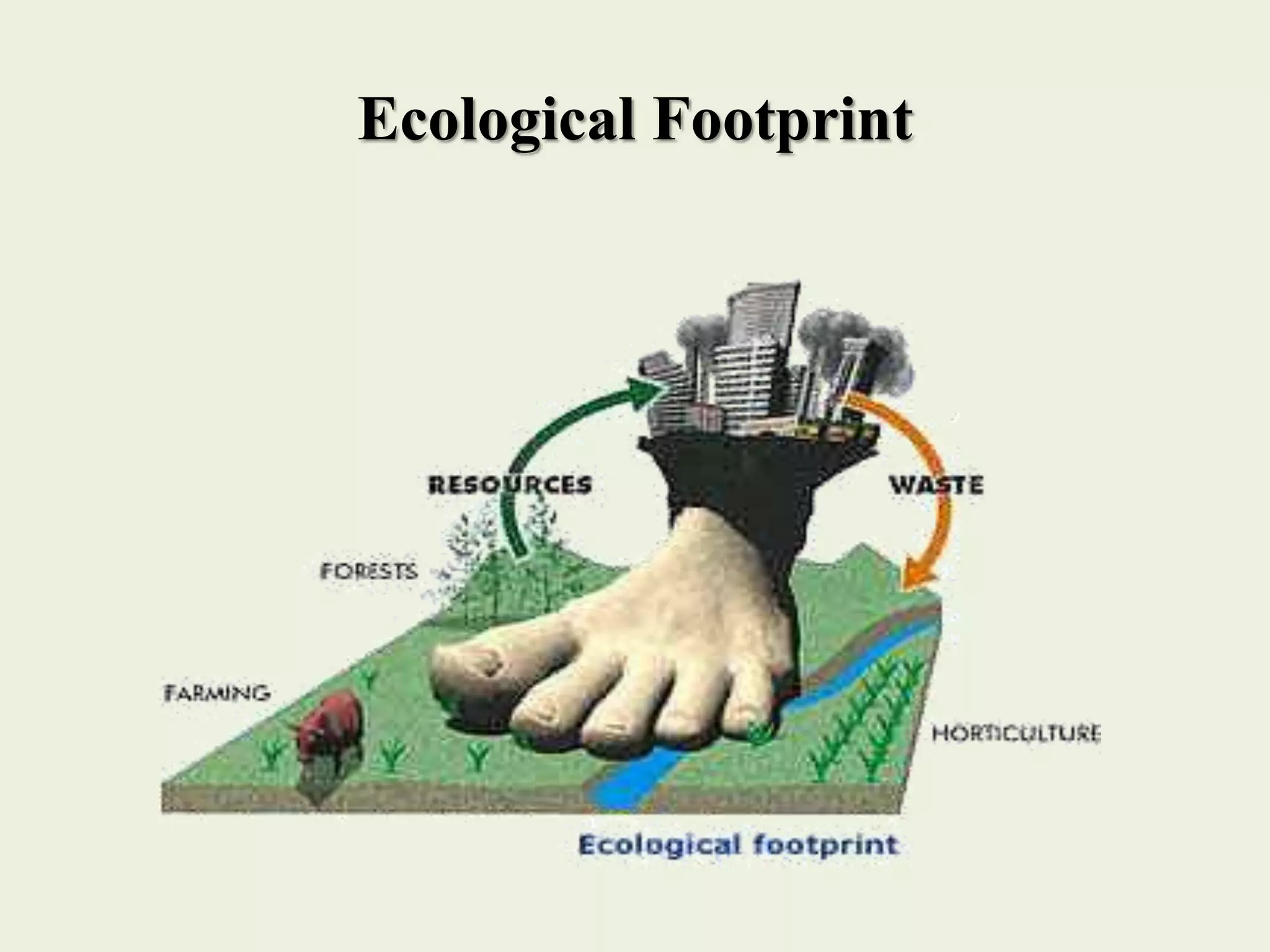 Ecological Footprint (1).pptx