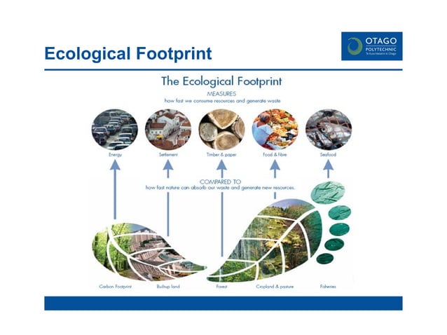Ecological Footprint | PPT