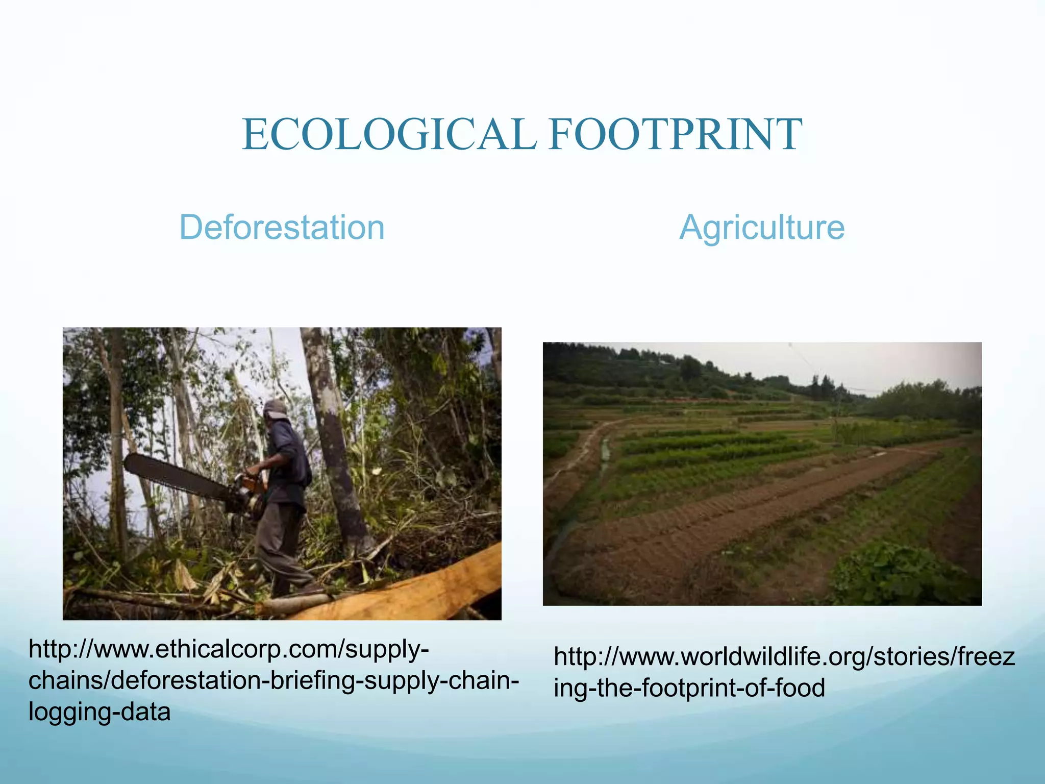 Ecological foot print | PPTX