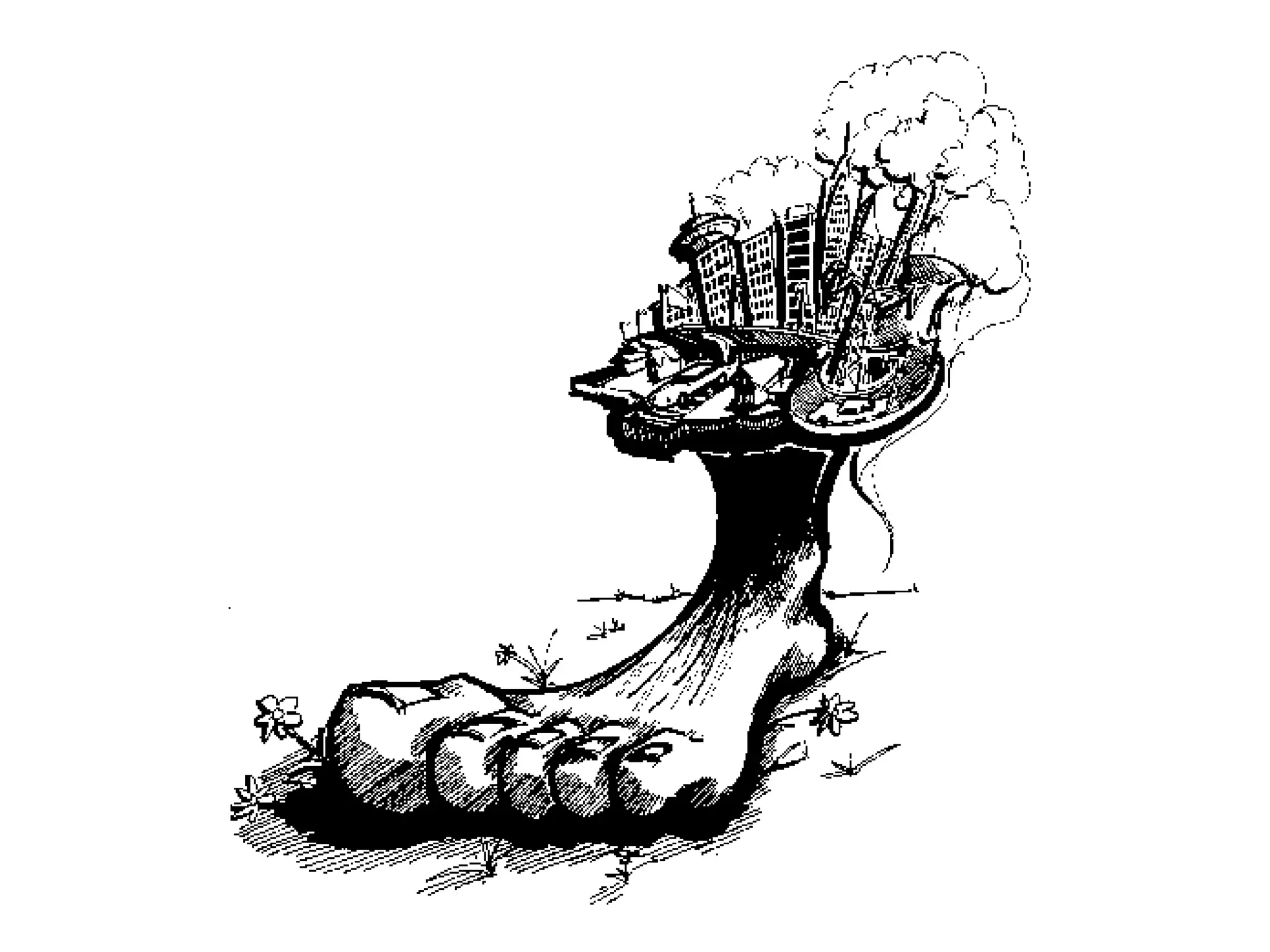 Ecological Footprint Cartoons | PPTX