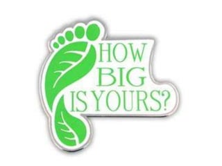 Ecological Footprint Cartoons | PPTX