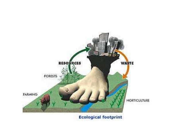 Ecological Footprint Cartoons | PPTX