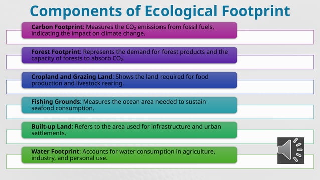 Ecological Footprints and Sustainability | PPTX