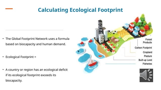 Ecological Footprints and Sustainability | PPTX