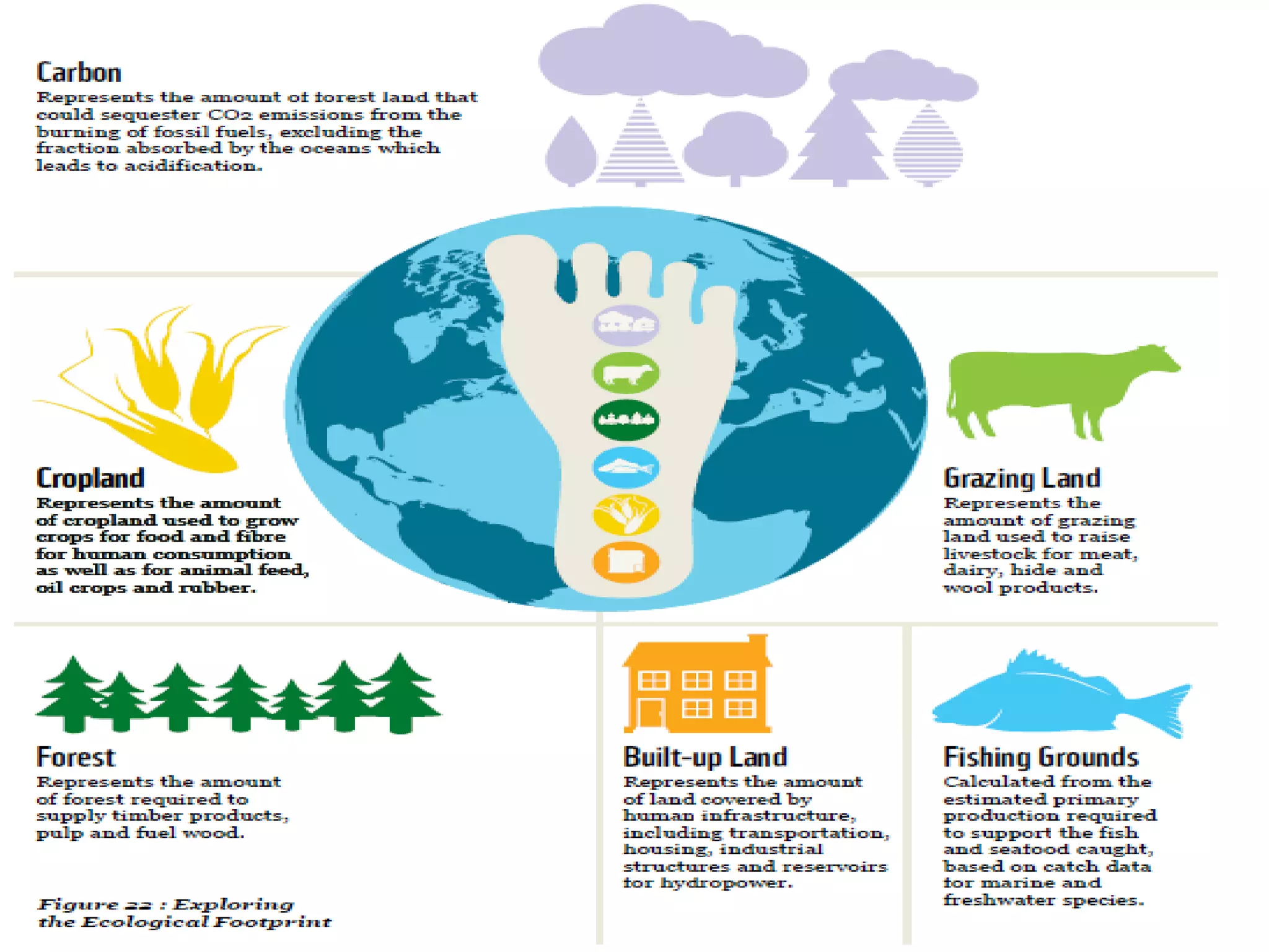 Ecological footprints introduction | PPT