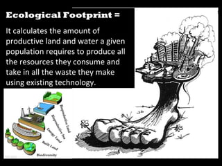 Ecological footprints introduction | PPT