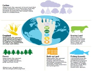 Ecological footprints introduction | PPT