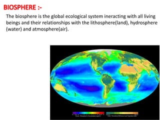 Ecological hierarchy.pptx single organism to biosphere | PPT