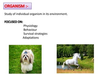Ecological hierarchy.pptx single organism to biosphere | PPTX