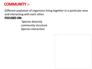 Ecological hierarchy.pptx single organism to biosphere | PPT