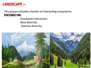 Ecological hierarchy.pptx single organism to biosphere | PPT