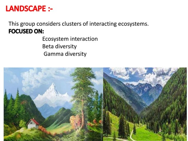 Ecological hierarchy.pptx single organism to biosphere | PPT