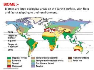 Ecological hierarchy.pptx single organism to biosphere | PPT