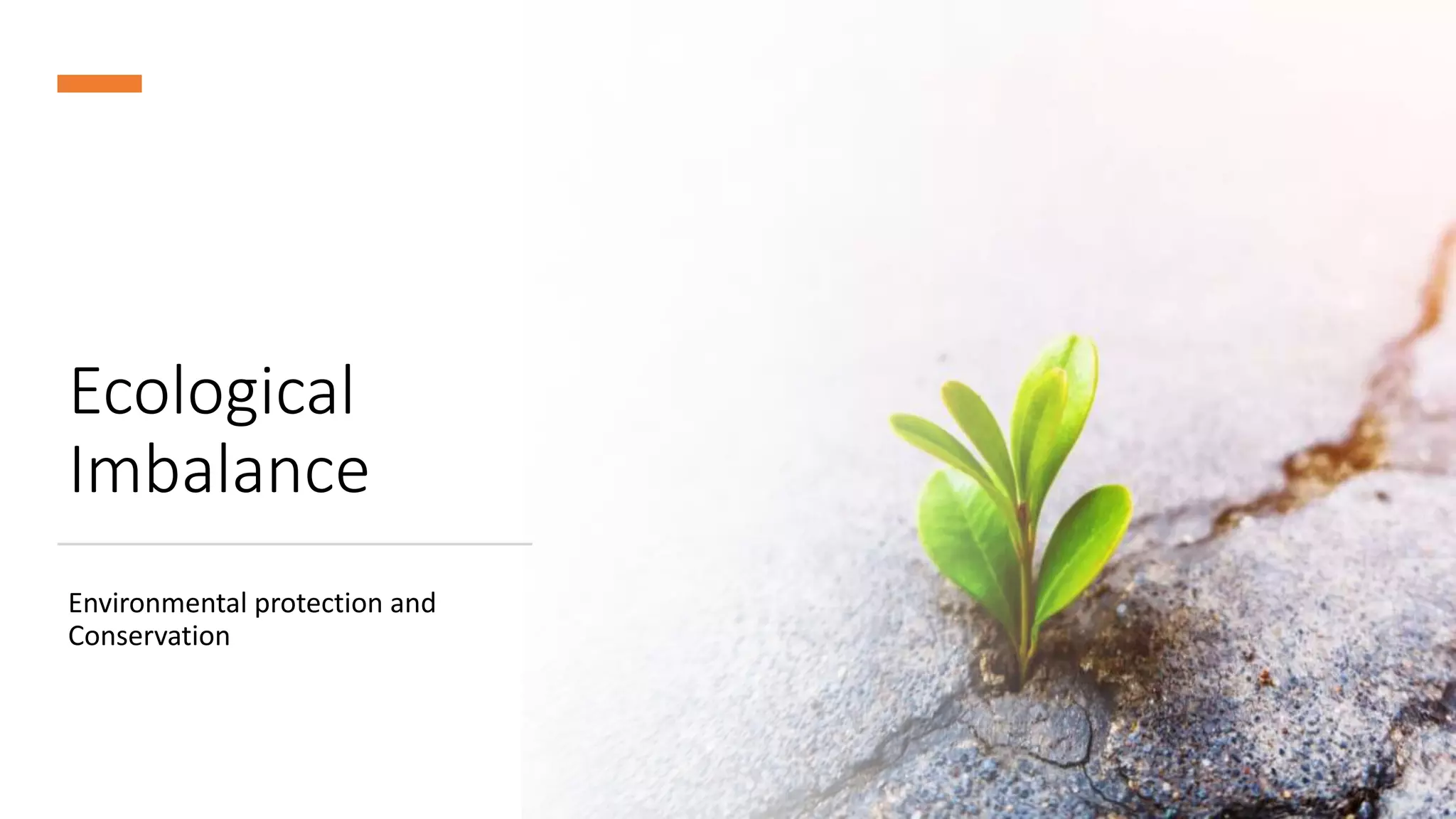 Ecological Imbalance.pptx