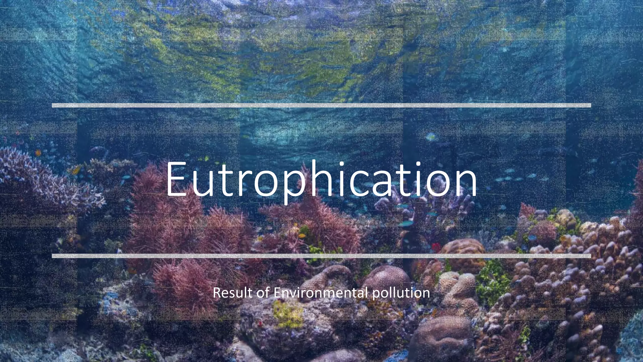 Ecological Imbalance.pptx