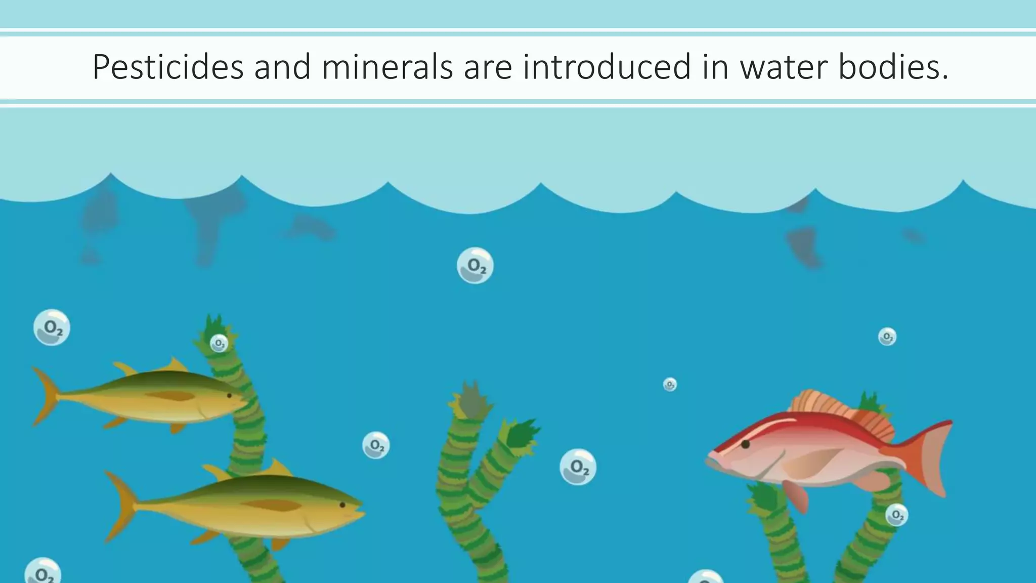 Ecological Imbalance.pptx