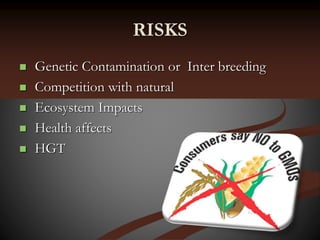 Ecological impact of genetic crops | PPT