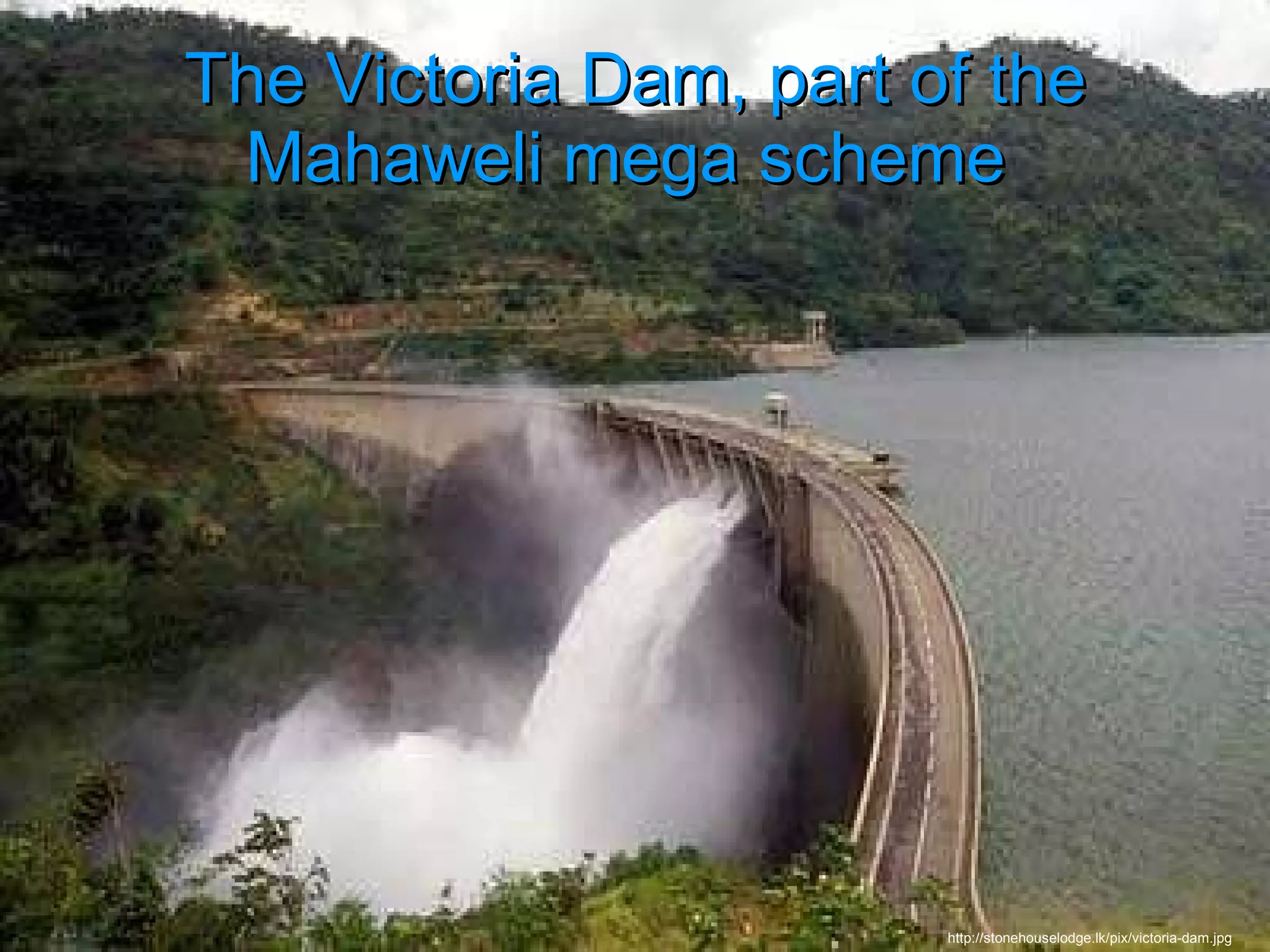 Ecological impacts of dams and water diversions | PPT