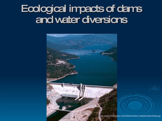 Ecological impacts of dams and water diversions | PPT