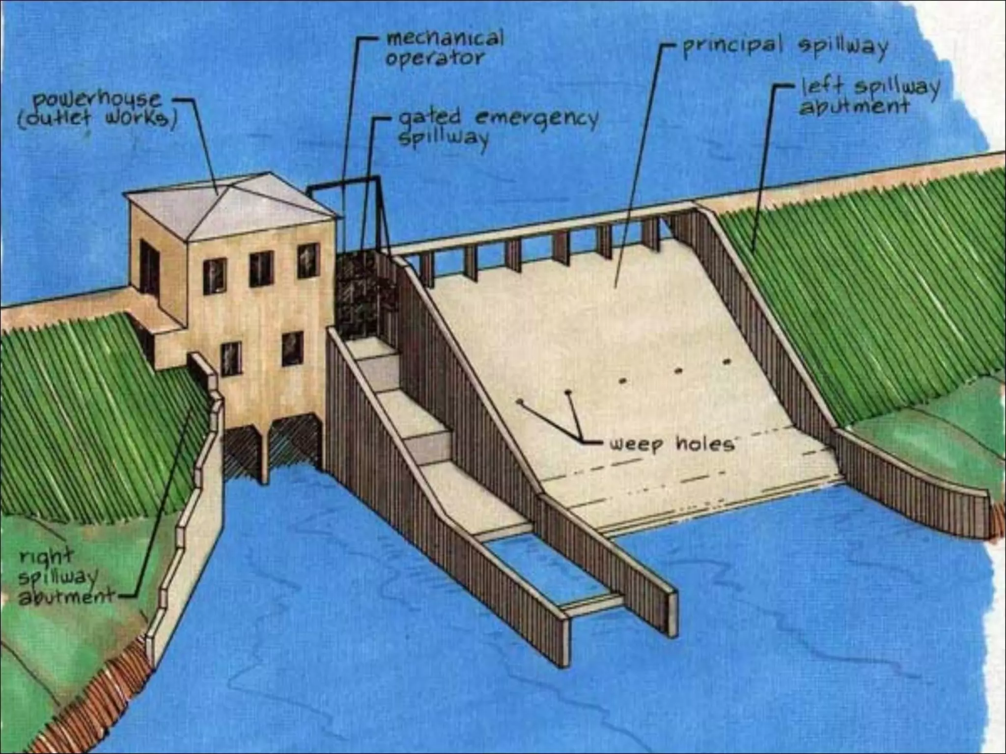 Ecological impacts of dams & water diversions | PPT