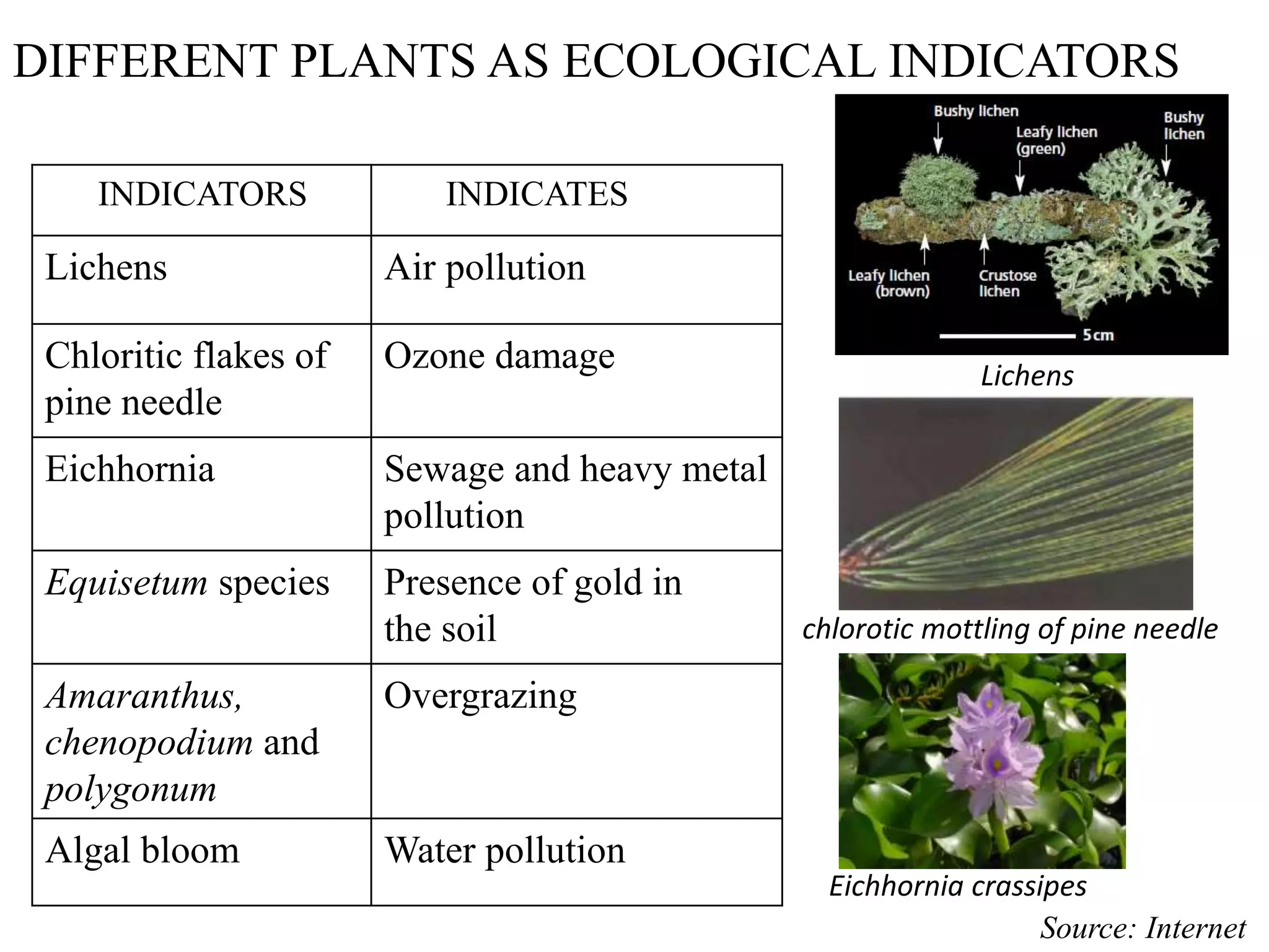 Ecological indicators and support with local examples | PPTX