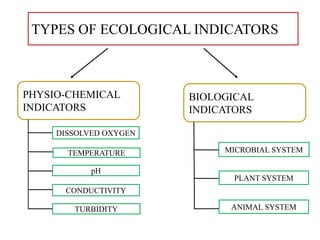 Ecological indicators and support with local examples | PPTX