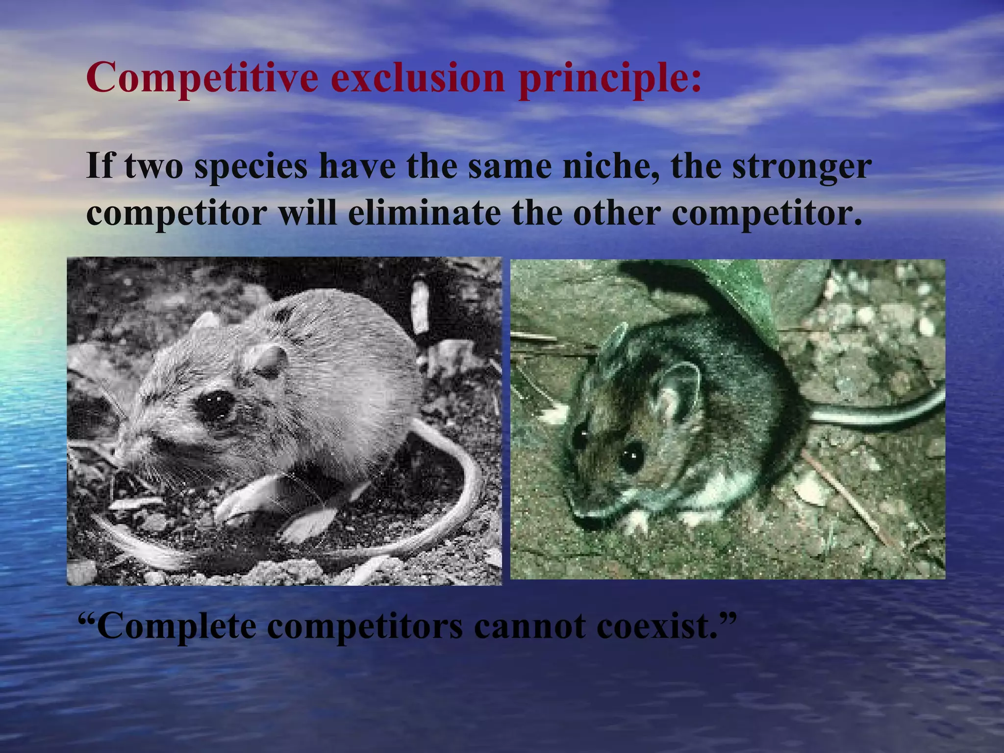 Ecological interactions | PPT