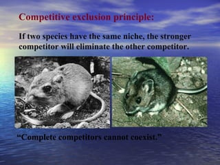 Ecological interactions | PPT