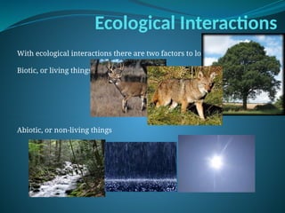 Ecological Interactions Power point with pictures | PPTX