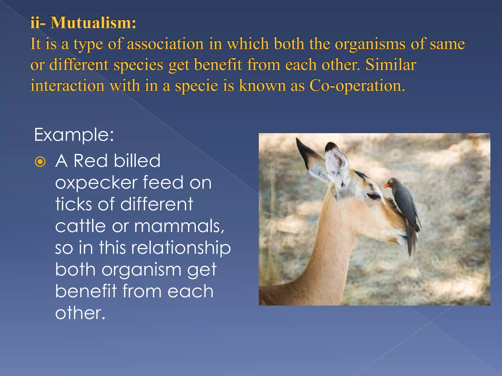 Ecological interactions between animals | PDF