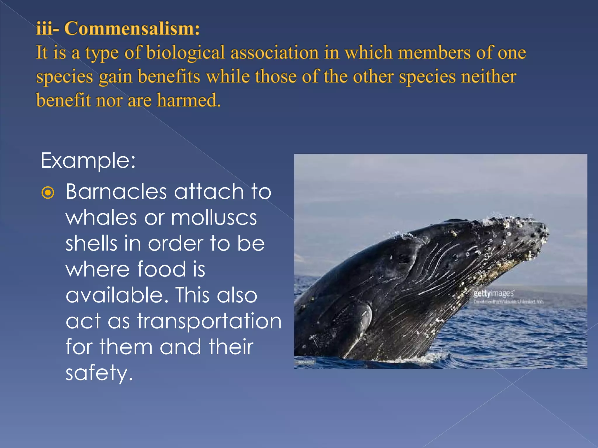 Ecological interactions between animals | PDF